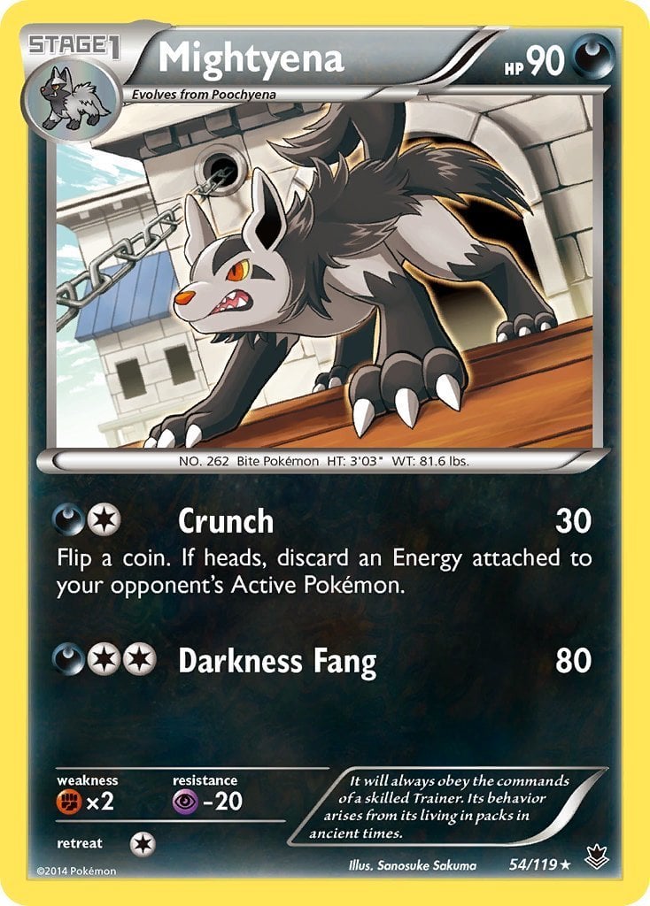 Mightyena Pokemon Cool