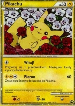 Pikachu Pikachu World Collection | Pokémon | CardTrader