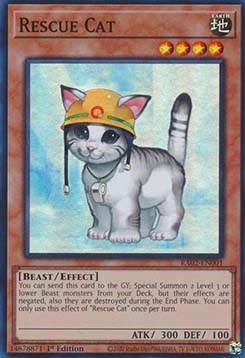 Rescue Cat 25th Anniversary Rarity Collection II | Yu-Gi-Oh! | CardTrader